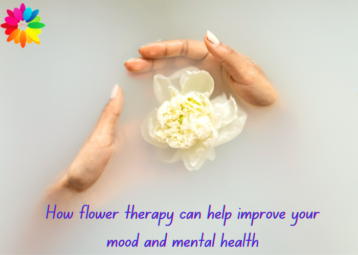 How Flower Therapy Can Help Improve Your Mood and Mental Health ...