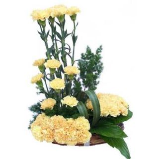 Order Fresh Carnations Online |Buy/send favorite Carnations with ...