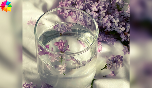 How Flower Therapy Can Help Improve Your Mood and Mental Health ...