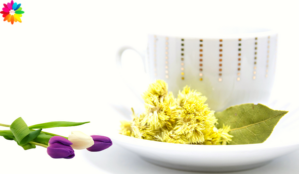 How Flower Therapy Can Help Improve Your Mood and Mental Health ...